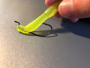 How to Rig Plastic Worms 2022 - Outdoors Being