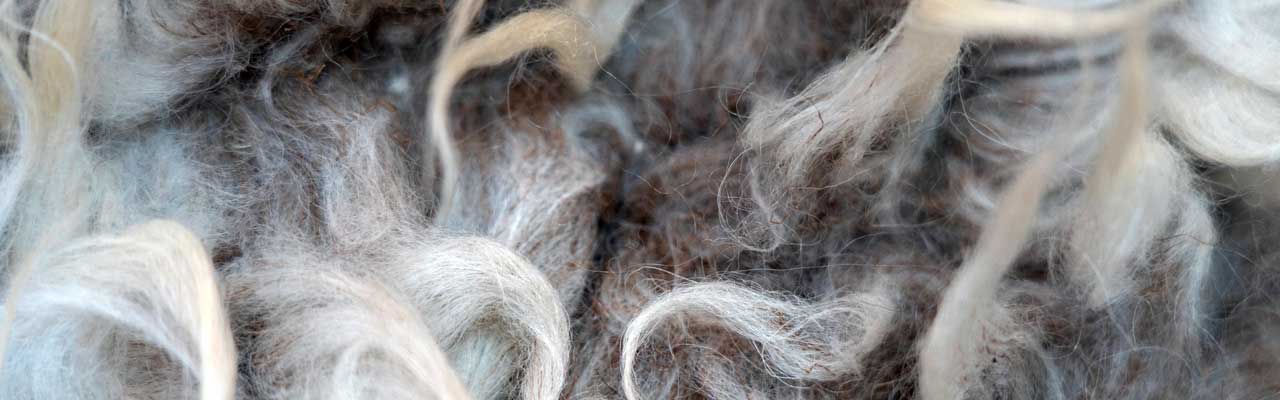 5 Bushcraft Wool Clothing Options You Need To Try